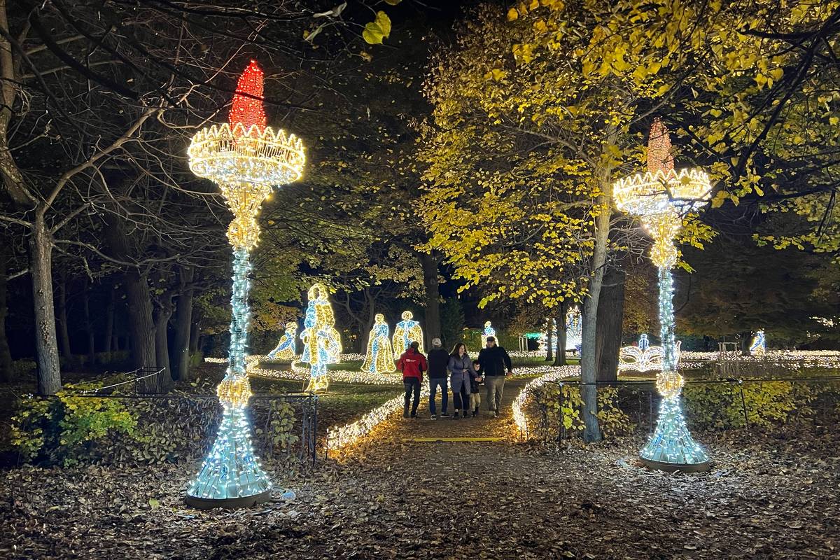 Imperial Lights Schönbrunn Vienna